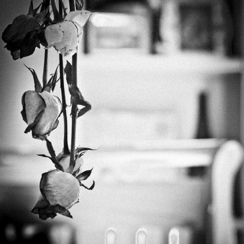 Extended through April 2020: Christina Brunk & Abby Rubinstein – Arts ...